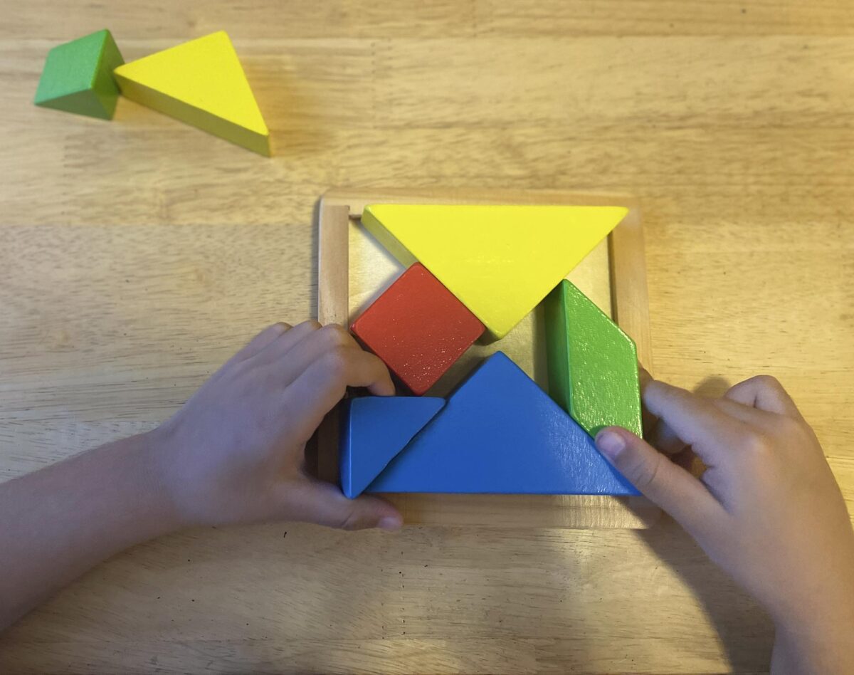 Shape Puzzles for Students with Special Needs - OrbRom Center