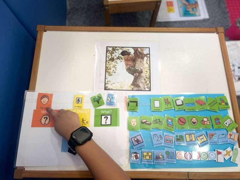 Colourful Semantics: A Teacher's Guide - Special Needs Support, Speech ...